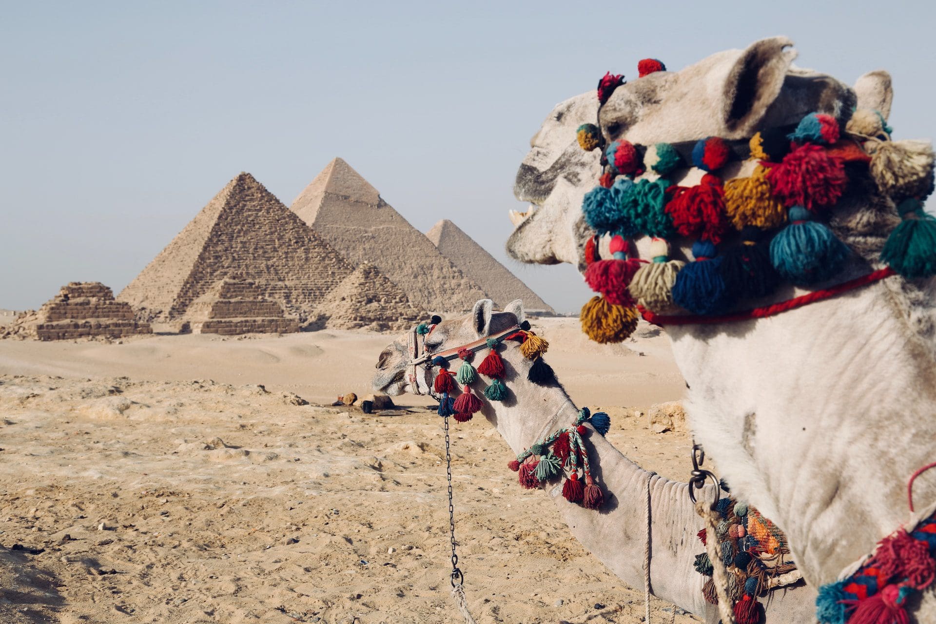 Kairo Urlaub: Last Minute & Pauschalreisen | LMX.de